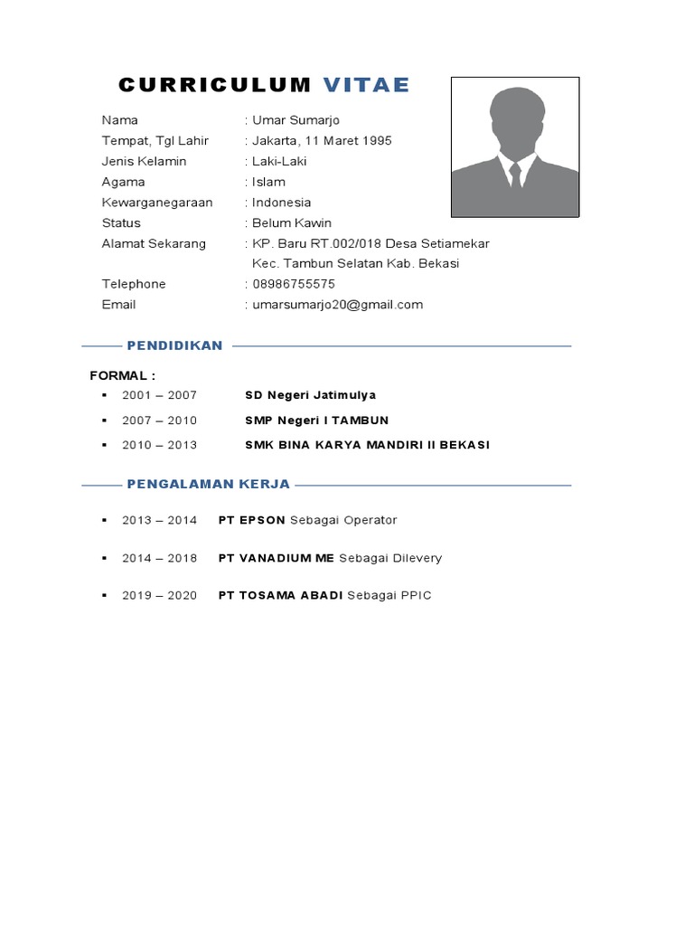 Curriculum: Vitae | PDF