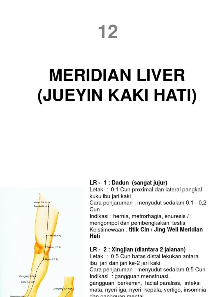 Hati (Liver) - HT | PDF