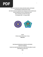 NIE Pada Sedian Obat Dan Alkes | PDF