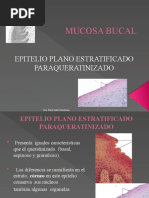 New Palig Pre Authorizatiion Claim Form CR | PDF | Ciencias de la Salud ...