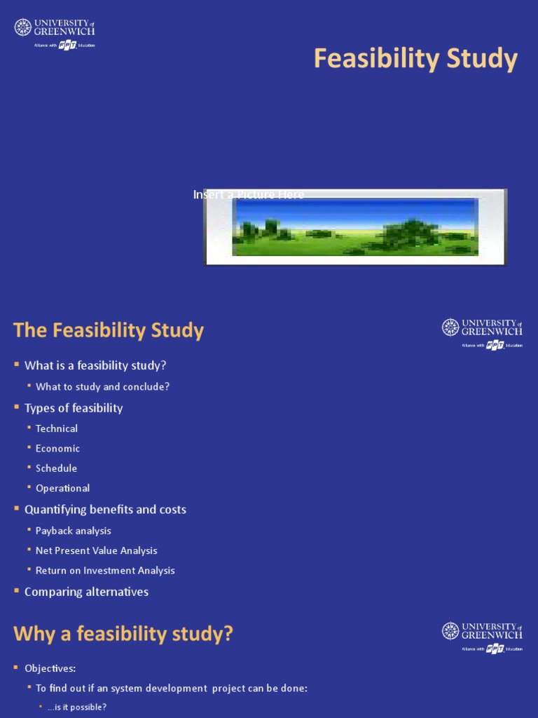 Comprehensive Feasibility Study Guide | PDF | Net Present Value ...