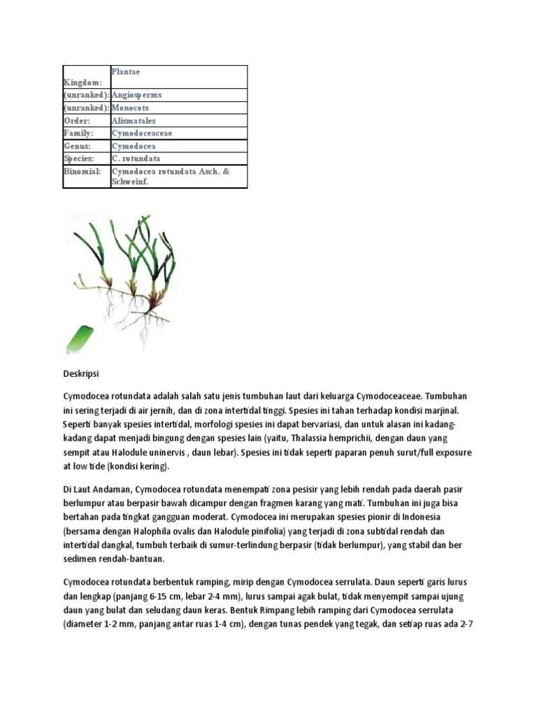 Lamun 1 | PDF | Griya & Taman