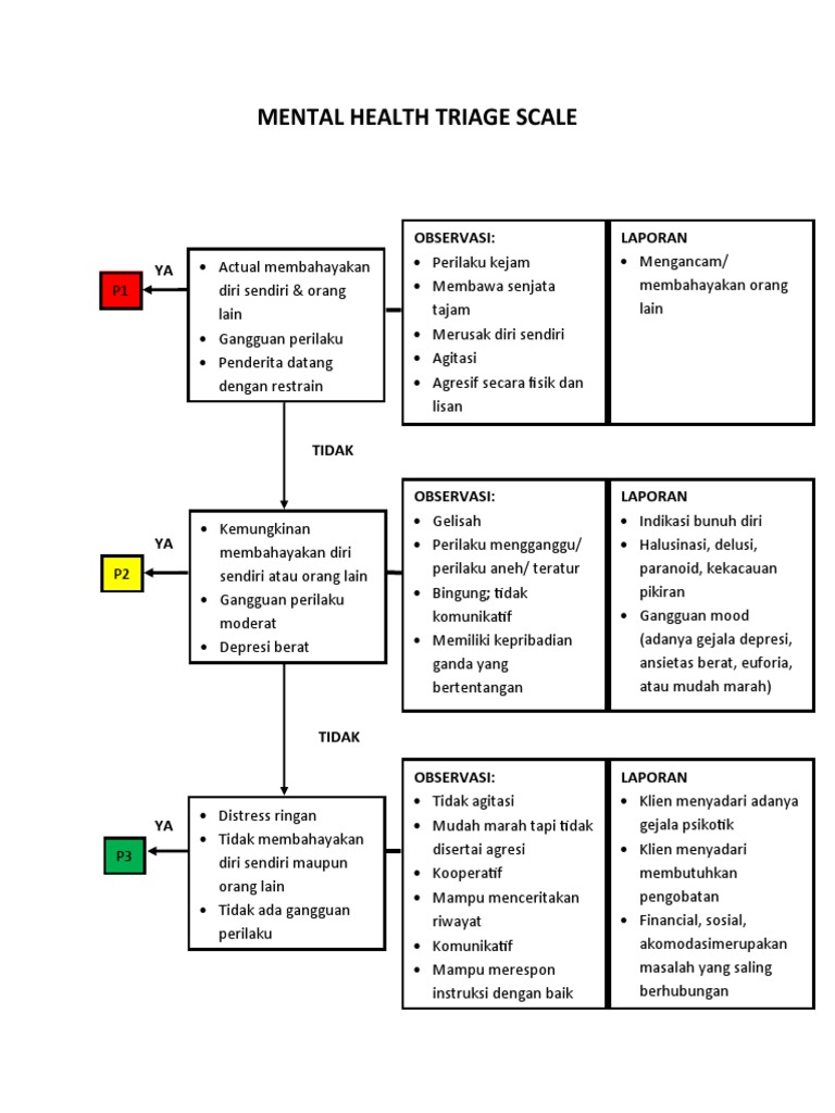 14.mental Health Triage Scale | PDF