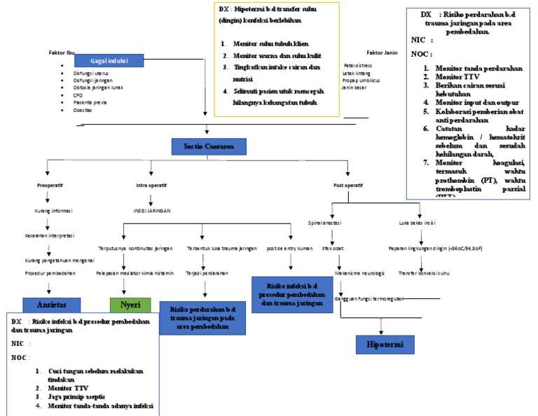 Woc LK SC Gagal Induksi Revisi | PDF