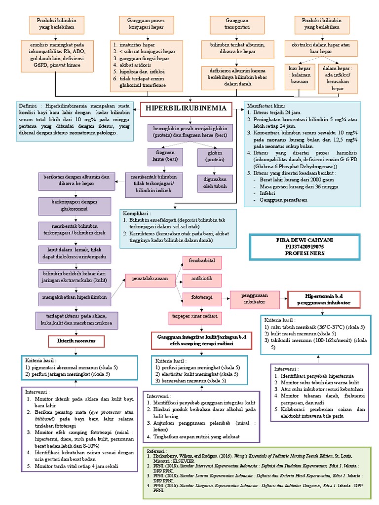 Hiperbilirubinemia pada Neonatus | PDF