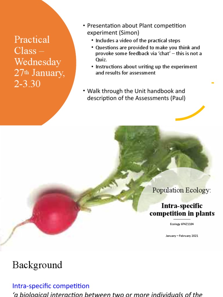 Plant Competition Experiment