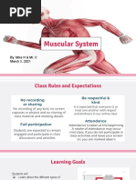 BTEC Sport Level 3 Revision Guide Muscular System | PDF