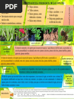 Phylum Arthropoda - Infografía | PDF | Insectos | Araña