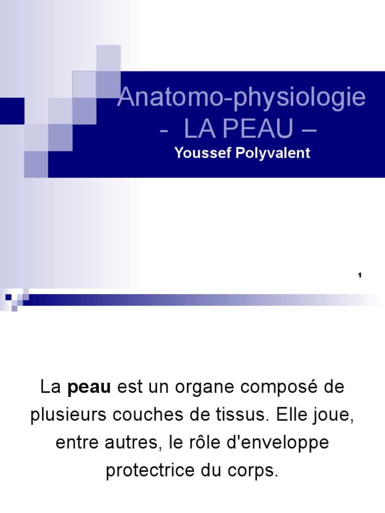 6 La Peau | PDF | Épiderme (anatomie) | Peau