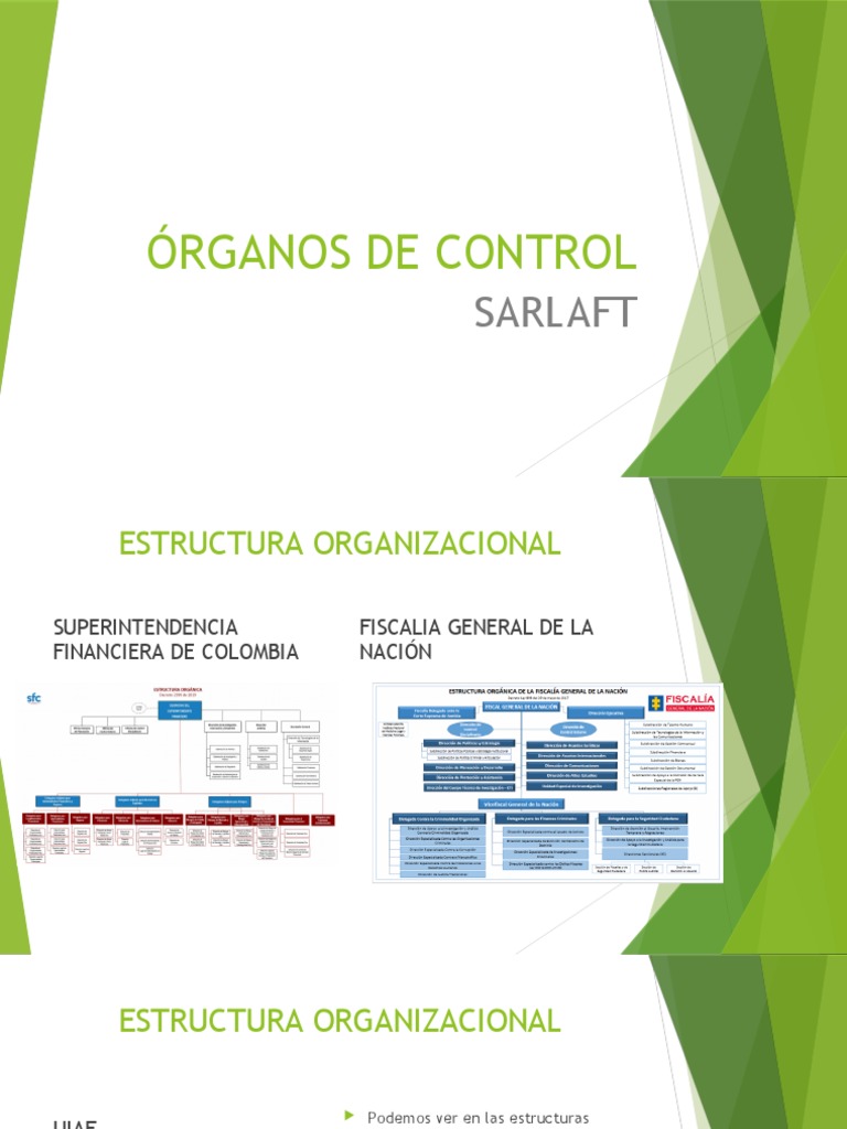 Órganos de Control Mapa Conceptual | PDF