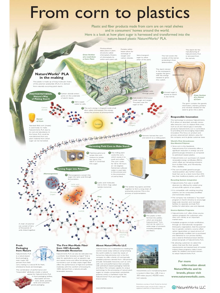 From Corn To Plastics: Natureworks Pla in The Making | Download Free ...