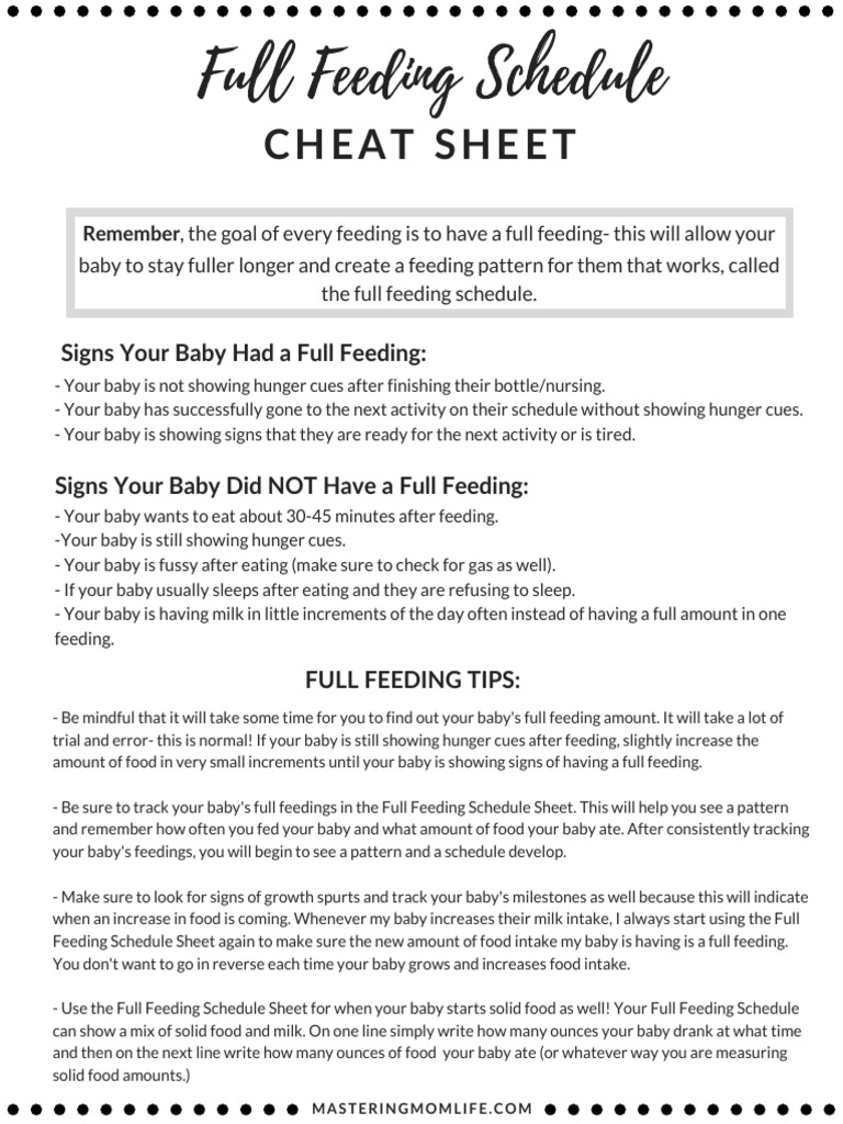 Full Feeding Schedule Cheat Sheet | PDF | Eating | Food And Drink