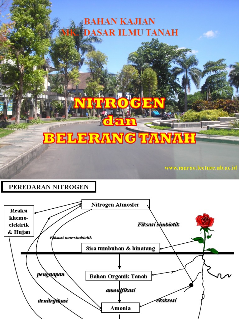 Siklus Nitrogen dalam Tanah | PDF