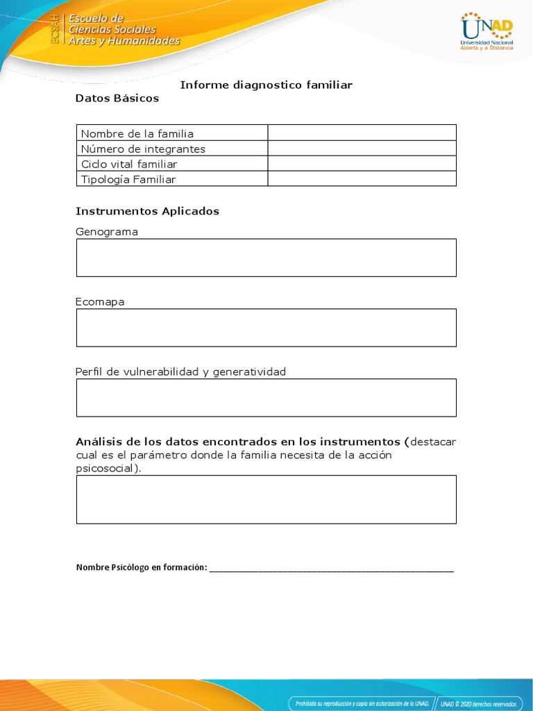 Formato Informe Diagnostico | PDF