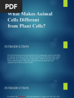 Cell Riddles Answer Key | PDF | Cell (Biology) | Endoplasmic Reticulum