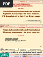 Informe 100 Plantas Medicinales Selva Peruana | PDF