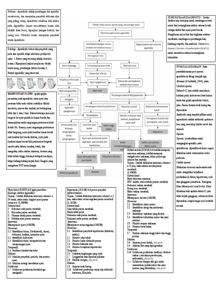 Woc Apendisitis | PDF
