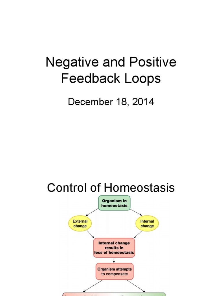 Feedback Loop Homeostasis