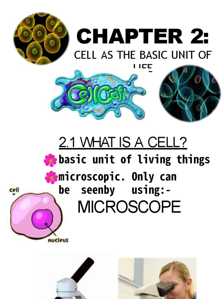 The Building Blocks of Life: An Overview of Cell Structure, Types of ...