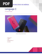 Ambiente Integral Del Lenguaje C | PDF | C (lenguaje de programación) | Lenguaje de programación