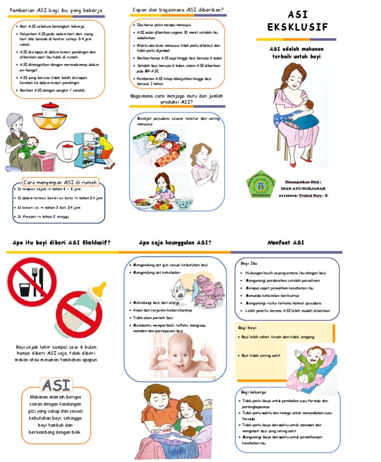 Leaflet Asi Eksklusif | PDF