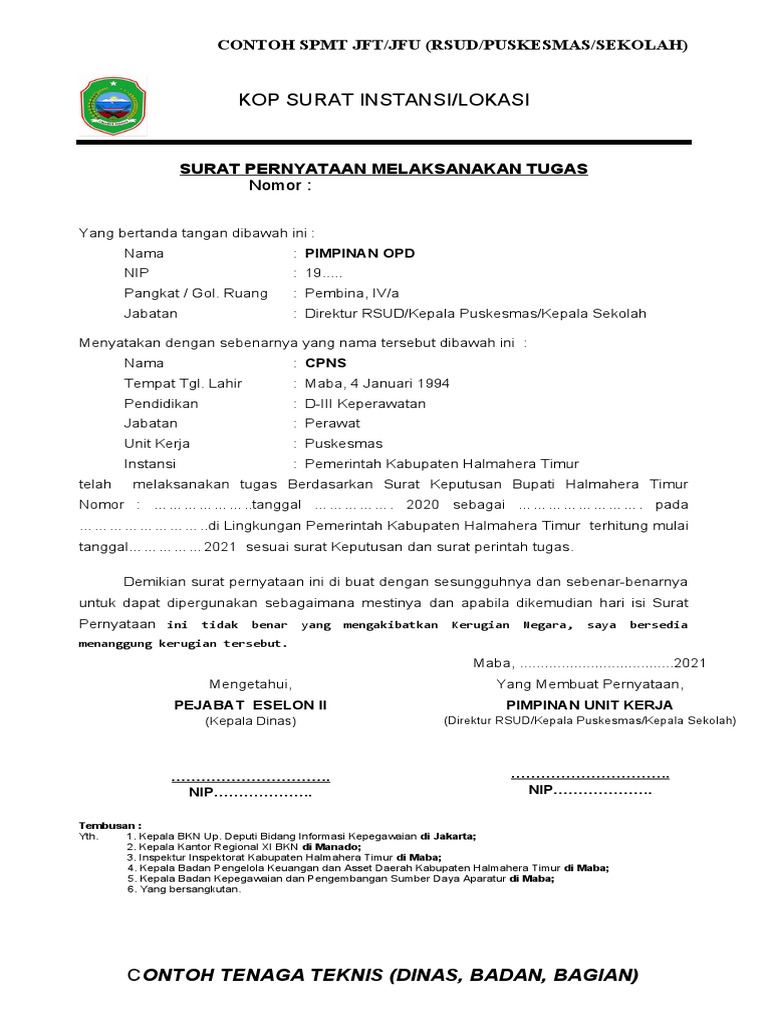 SPMT Unit Kerja CPNS 2019 | PDF