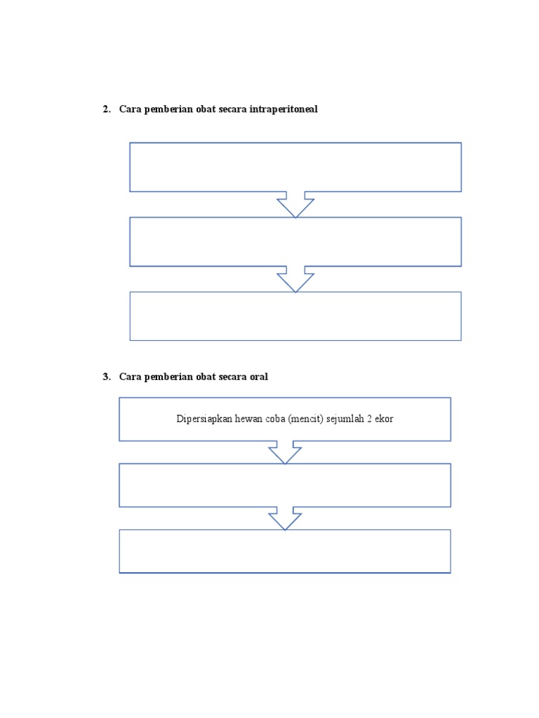 Cara Pemberian Obat Secara Intraperitoneal | PDF