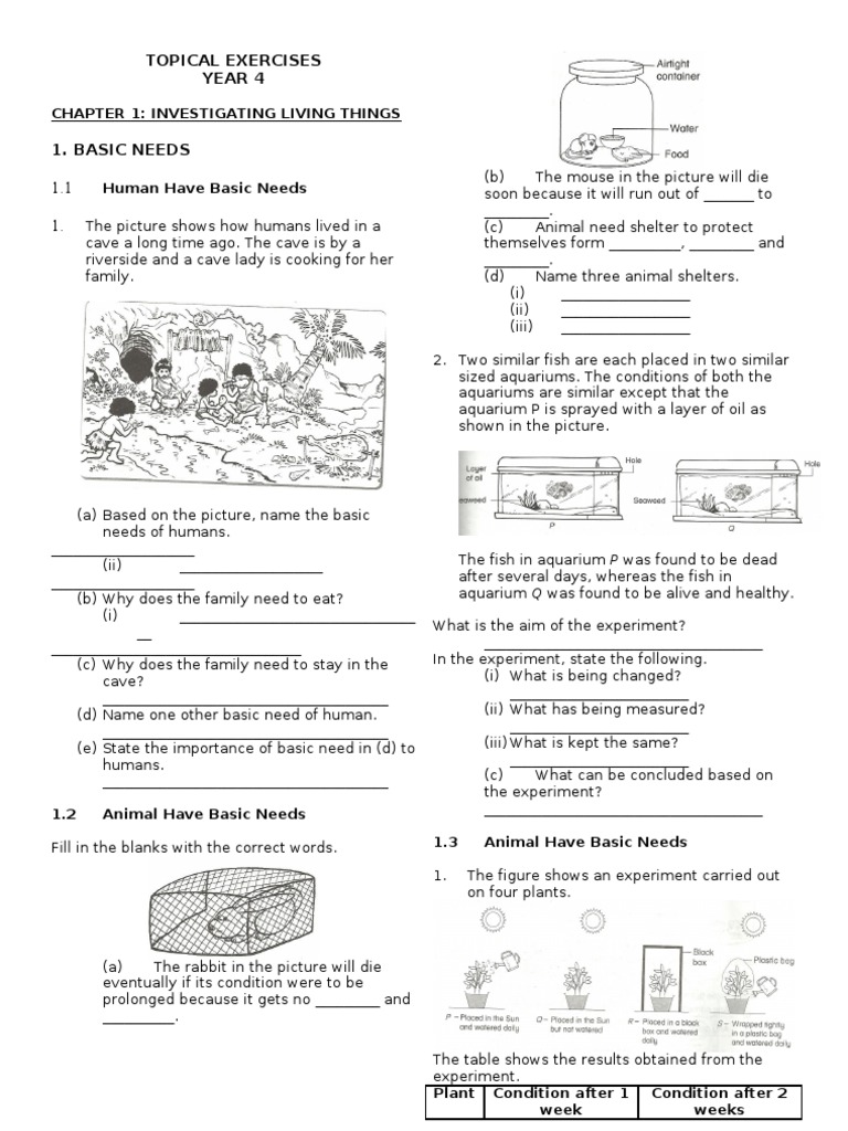Revision Science Year 4 | PDF | Exhalation | Excretion