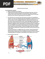 D5imb Iv | PDF | Intravenous Therapy | Dehydration