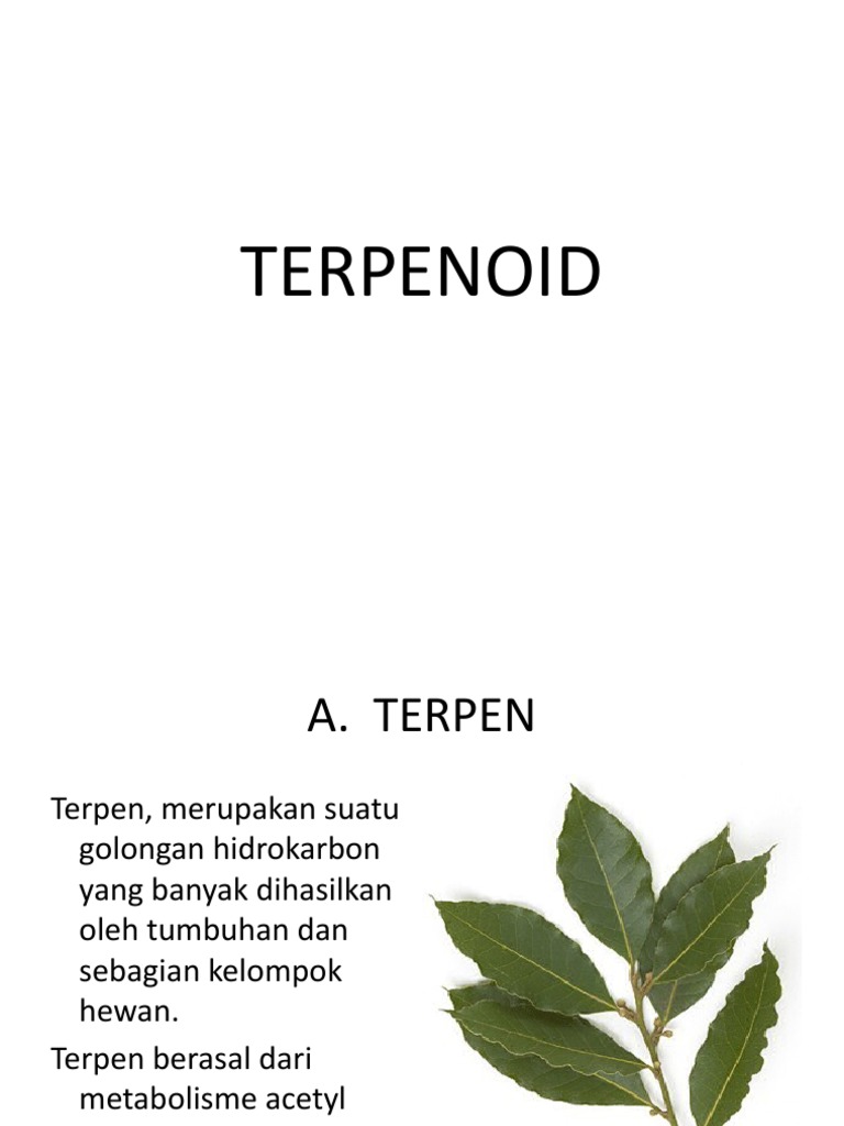 TERPENOID | PDF