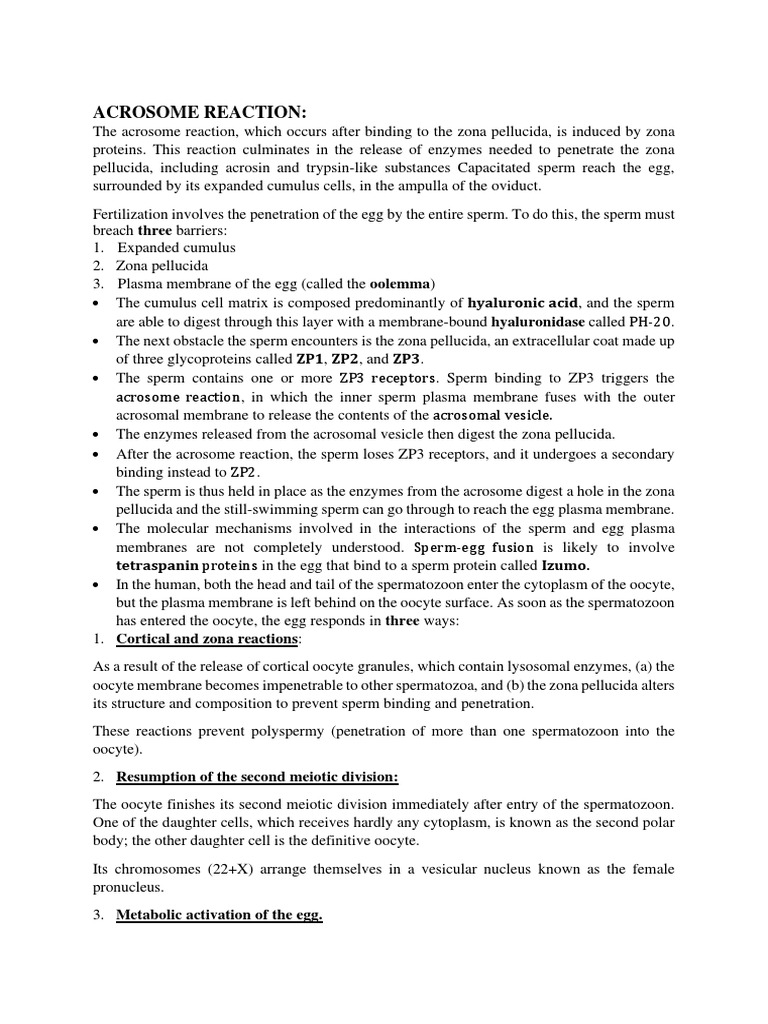 Acrosome Reaction - Reproductive Physiology | PDF | Reproductive System ...