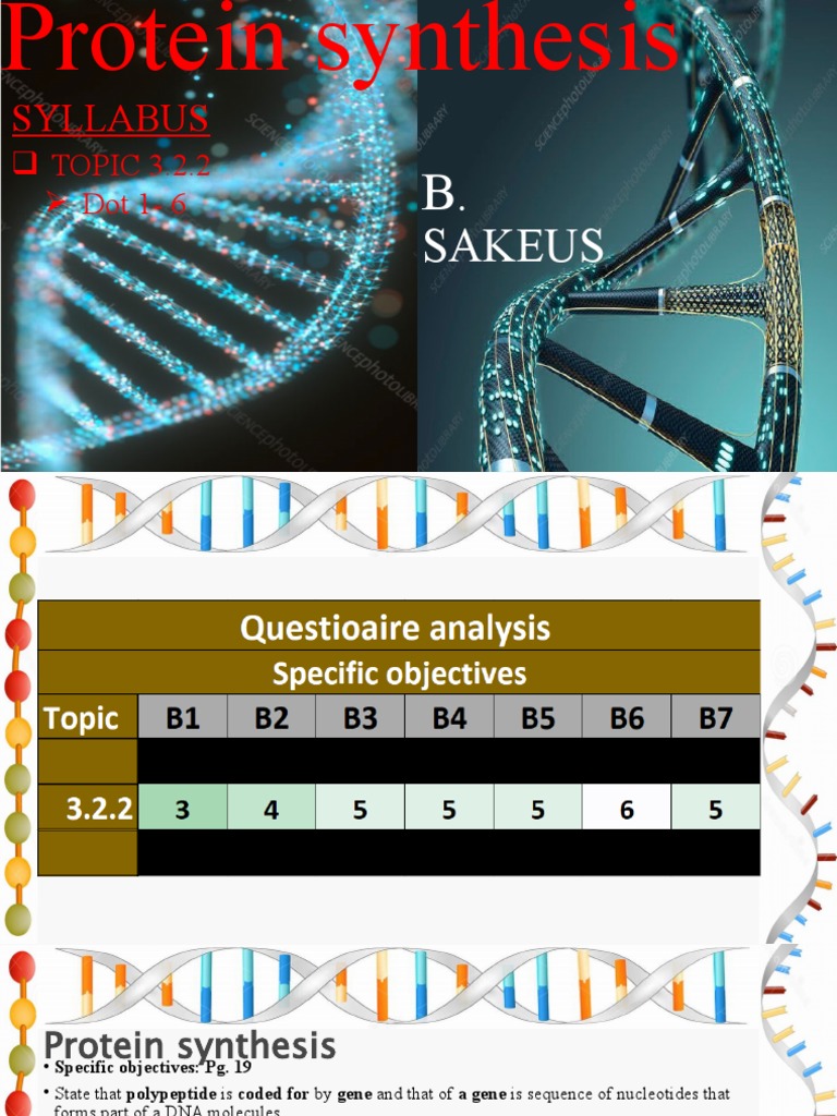 Nsscas Protein Synthesis | PDF | Genetic Code | Translation (Biology)