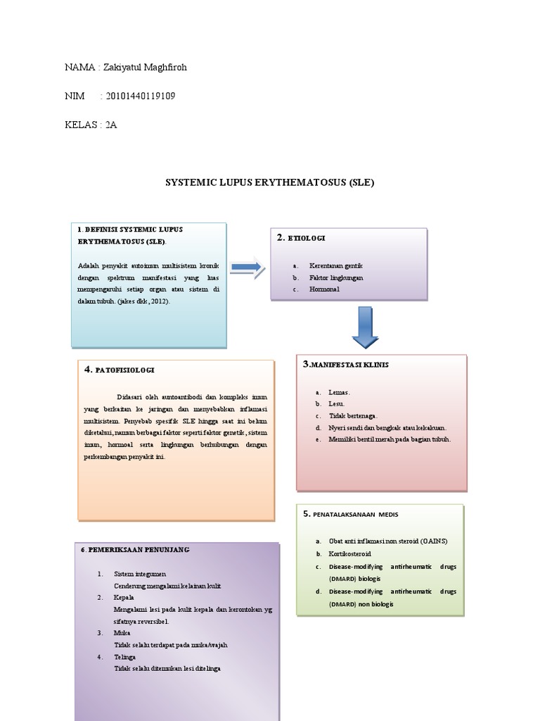 Konsep Mapping Sle | PDF