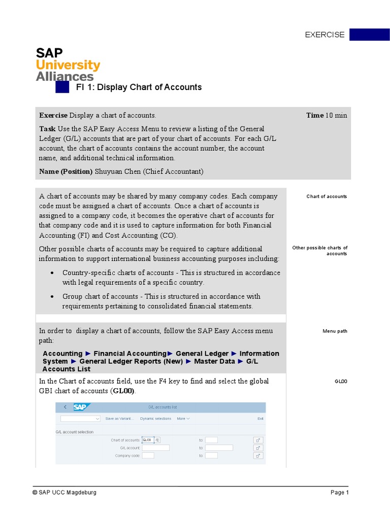FI 1: Display Chart of Accounts | PDF | Balance Sheet | Financial Services