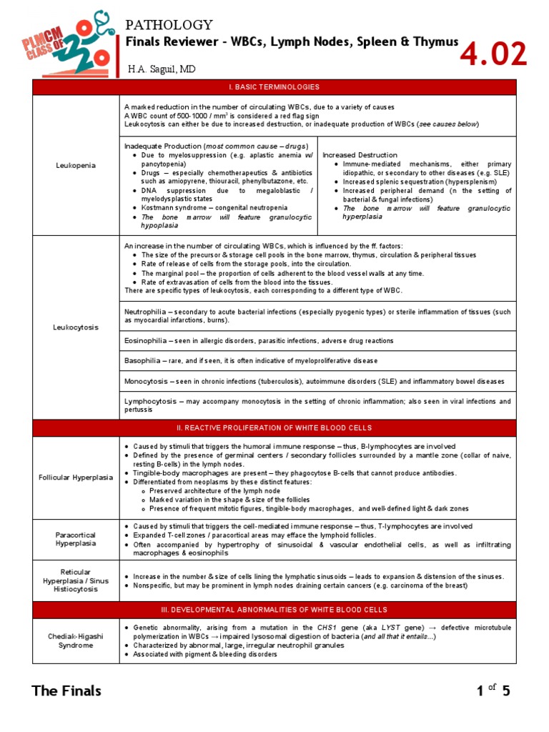 4.02 - WBC, Lymph Nodes, Spleen & Thymus | PDF | Thymus | Lymphoma