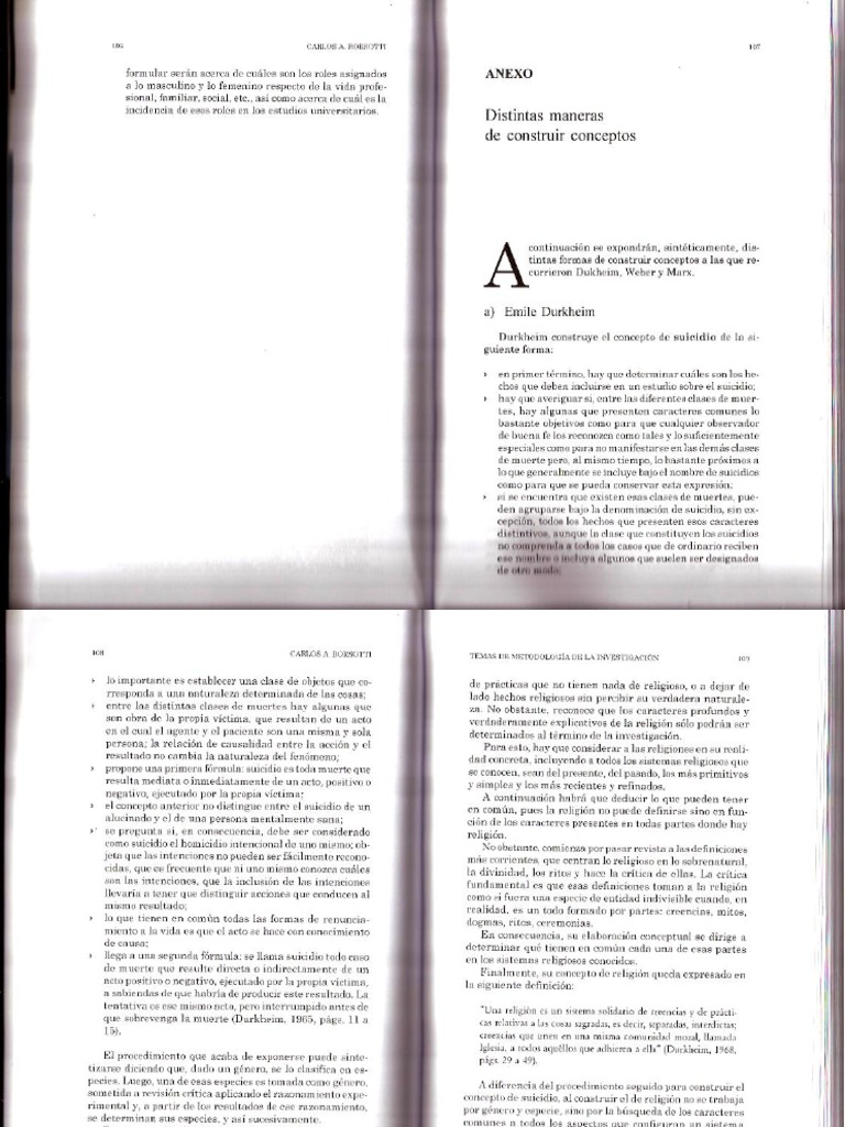 Borsotti - Construir Conceptos | PDF