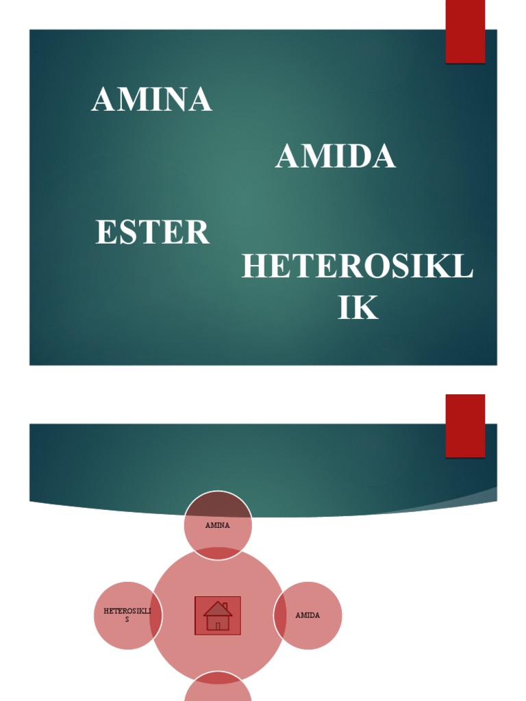 Kimia Organik Amina Amida Ester Heterosiklik | PDF