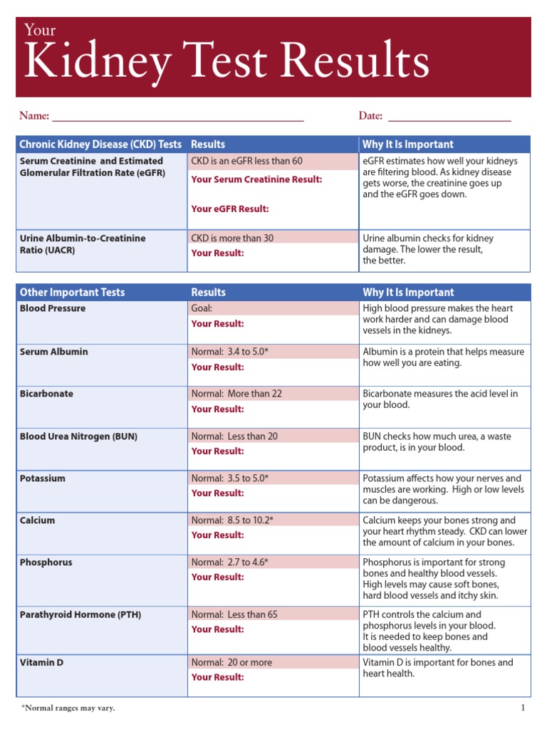 Your Kidney Test Results EN | PDF | Chronic Kidney Disease | Cholesterol