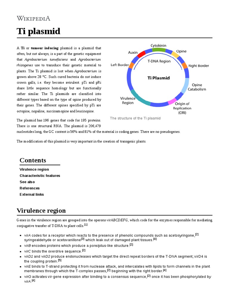 The Structure of The Ti Plasmid | PDF | Organisms | Molecular Biology