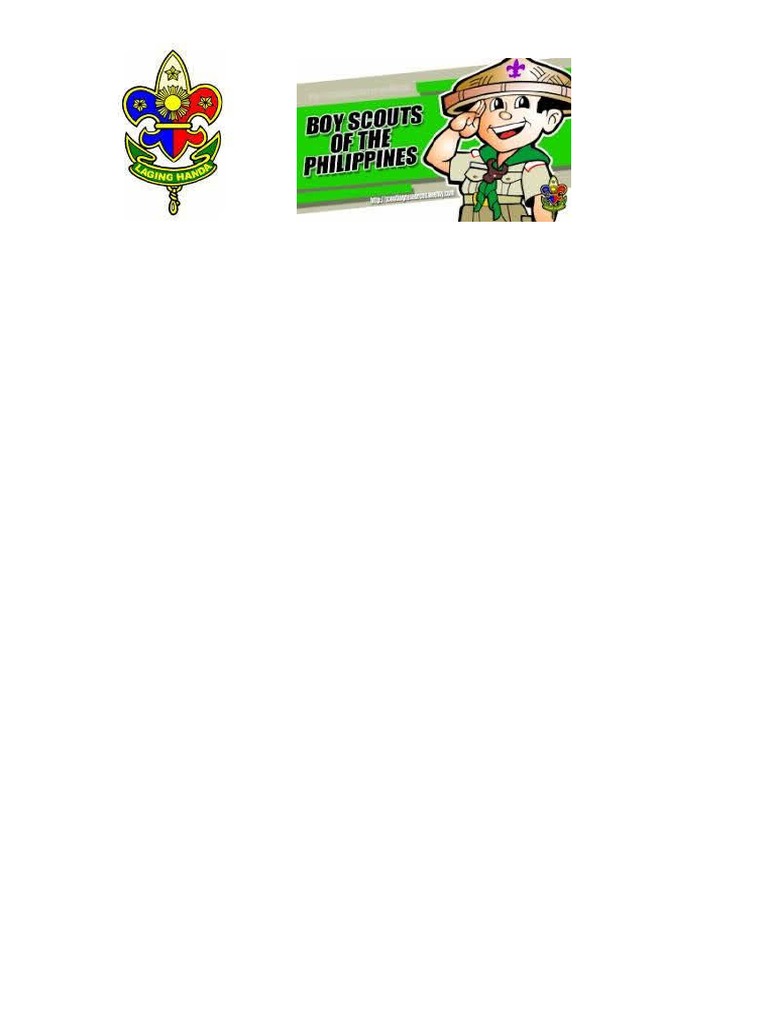 Boy Scout Permit | PDF