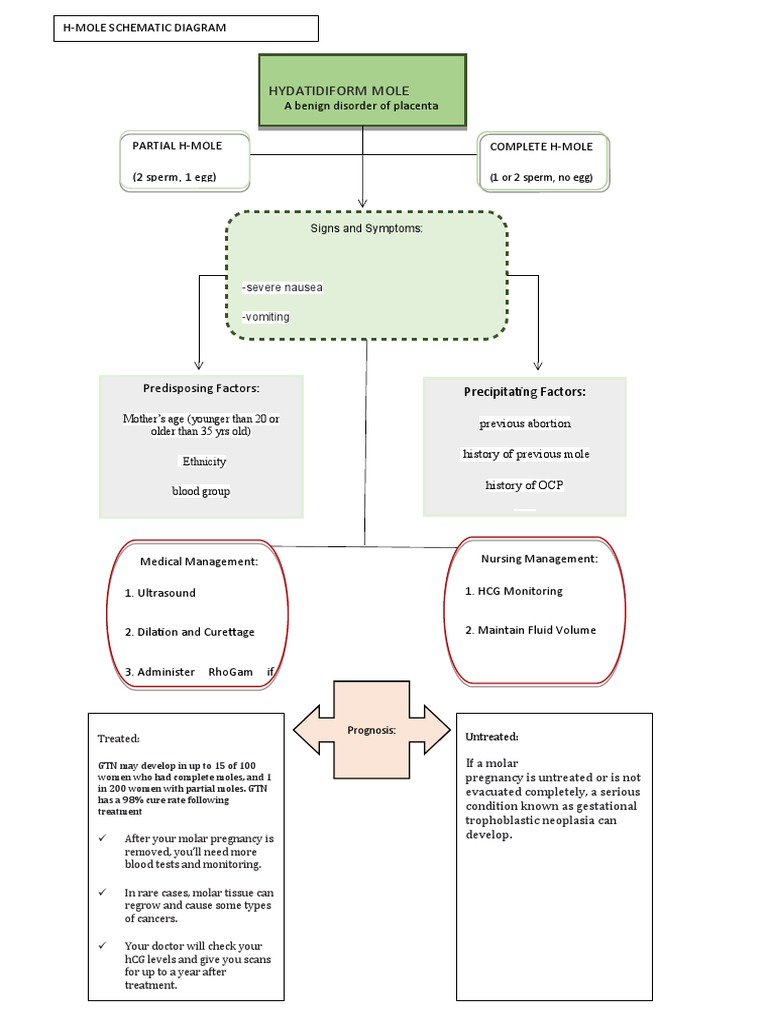 Hydatidiform Mole Pathophysiology Overview | PDF | Motherhood | Public ...