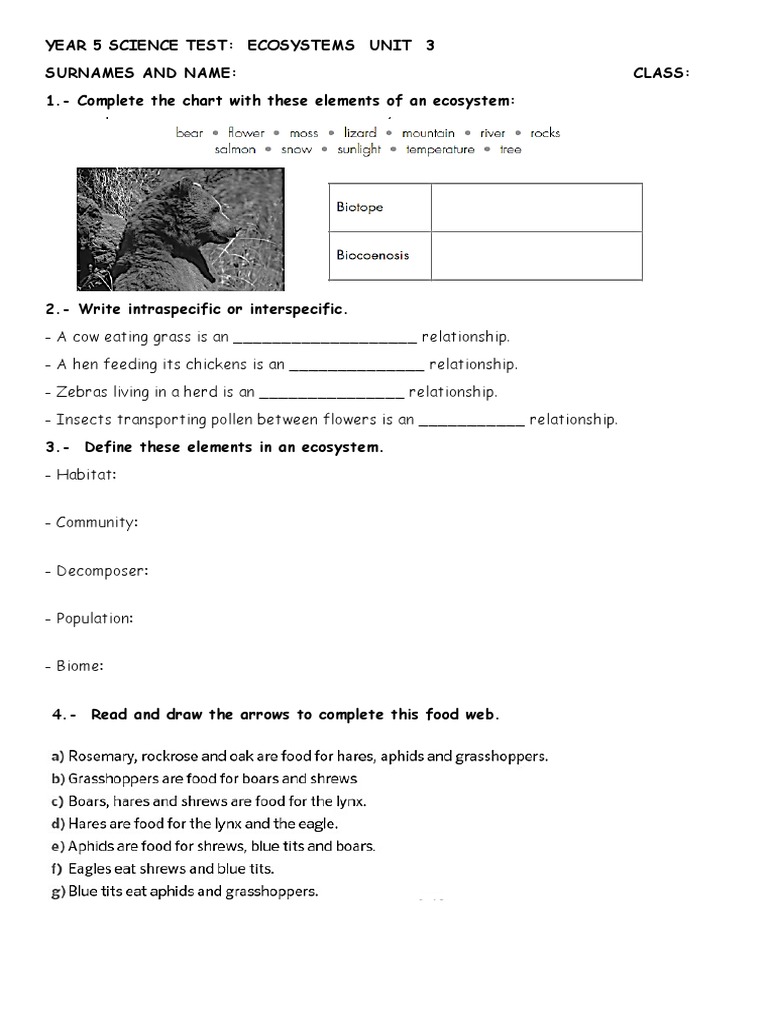 Year 5 Ecosystems Test | PDF