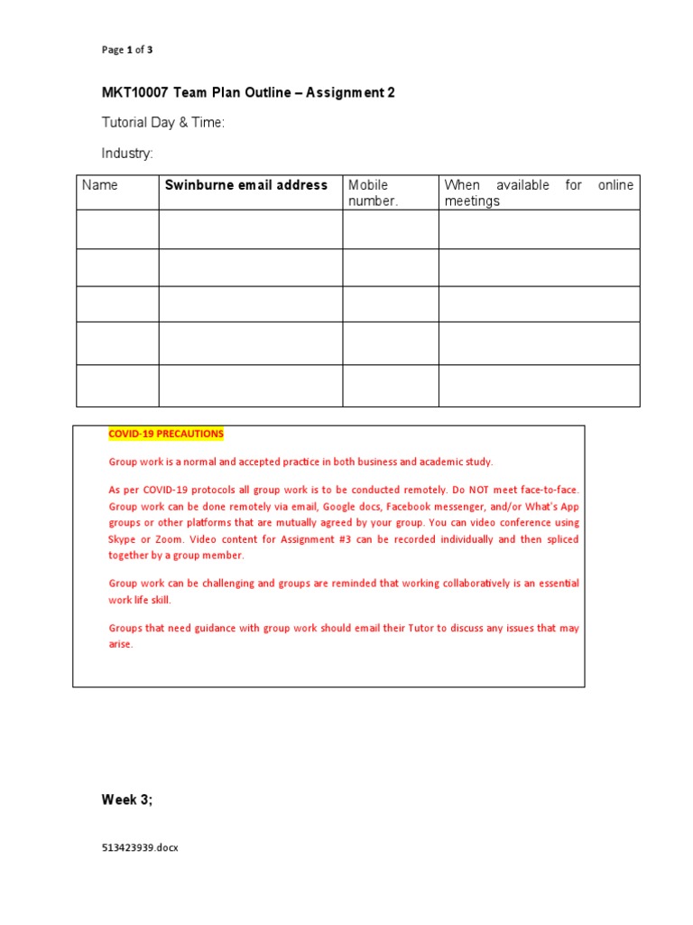 MKT10007 Team Plan Outline - Assignment 2 S2,20 | PDF | Facebook ...