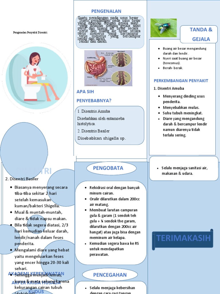 Leaflet Disentri | PDF