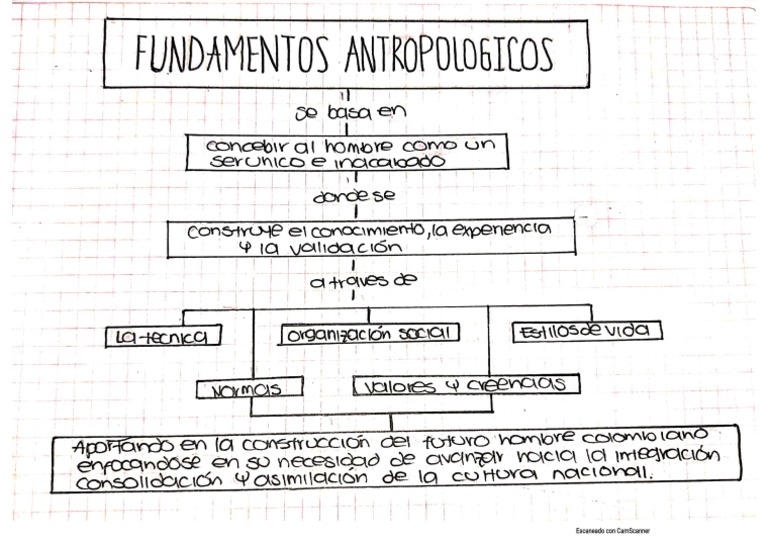 Mapa Conceptual - Fundamentos Antropológicos | PDF
