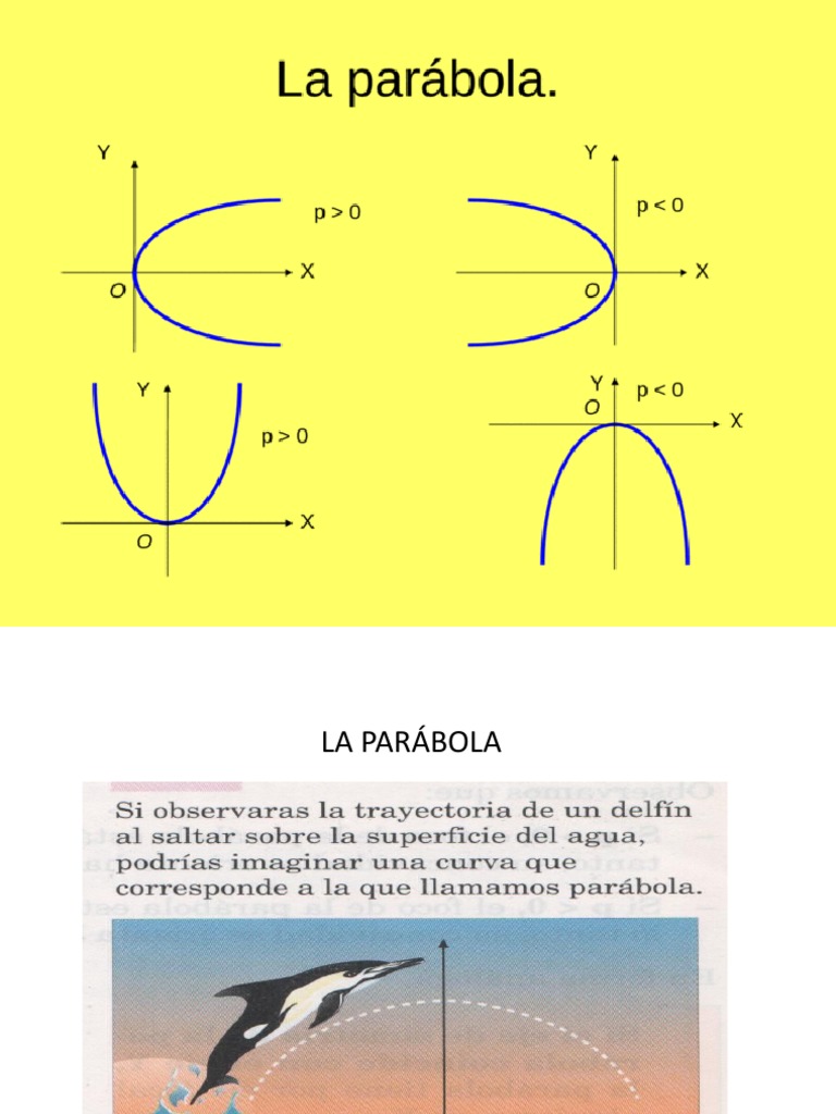 Tipos y elementos de la parábola | PDF | Formas geométricas | Geometría ...