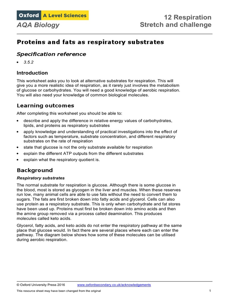 AQA Biology: 12 Respiration Stretch and Challenge | PDF | Cellular ...