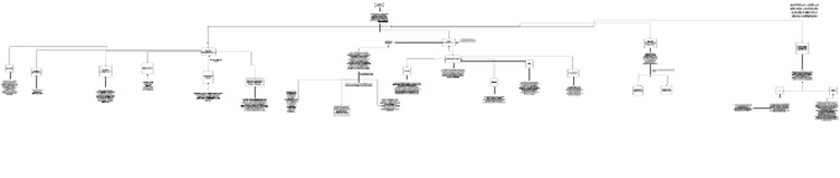 Mapa Copro | PDF | Heces | Digestión