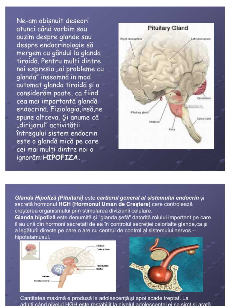 Glanda Hipofiza | PDF
