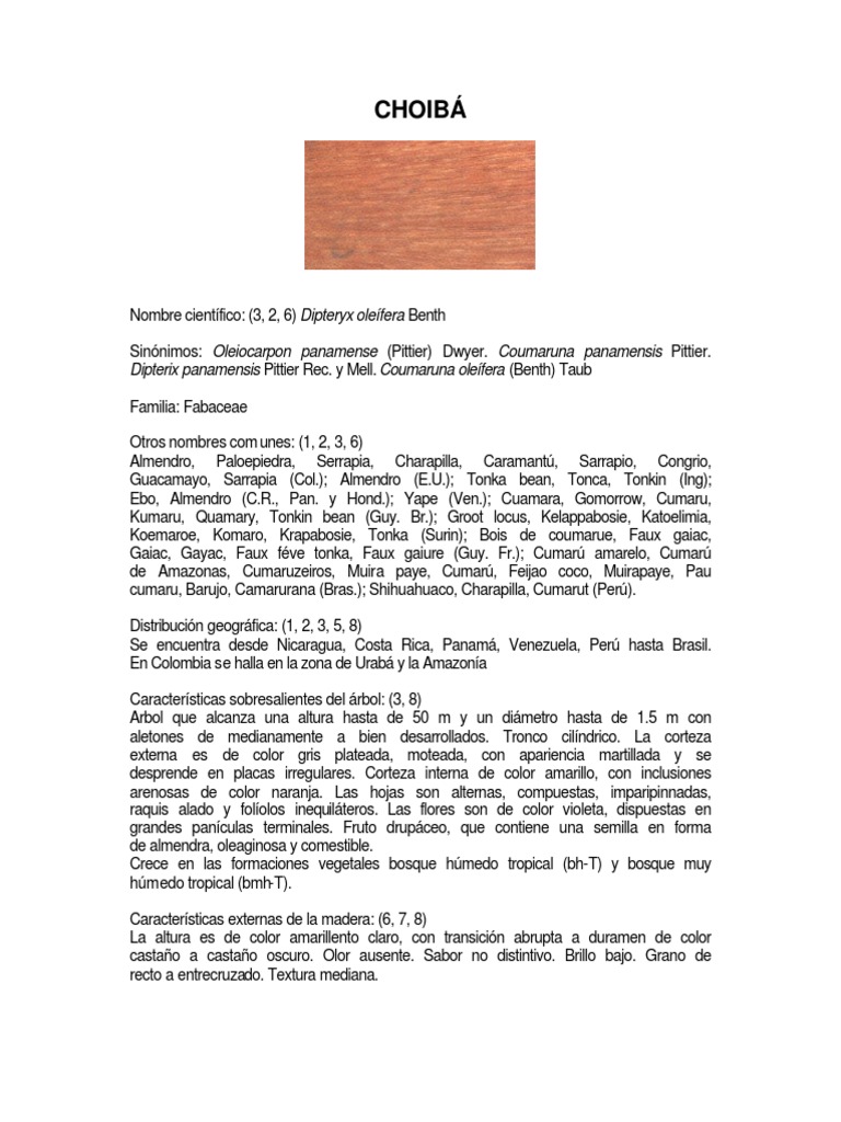 Choiba | PDF | Arboles | Plantas